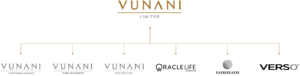 Homepage - Vunani Corporate Finance